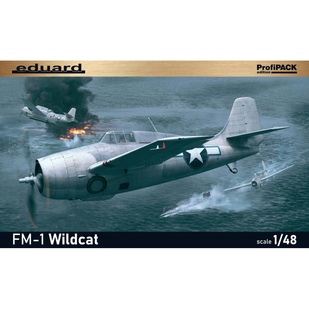 Grumman FM-1 F4 WILDCAT MARTLET US WWII fighter 1/48 EDUARD ProfiPACK